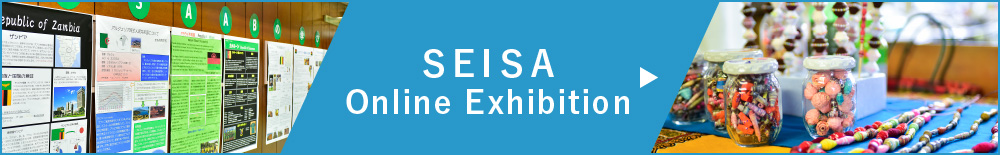 The 8th SEISA Africa Asia Bridge 2022